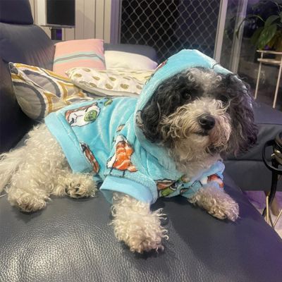 Charlie's Uggo Wassup'b Dog Hoodie