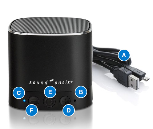 Sound Oasis BST-80-20P Bluetooth Pet Sound System