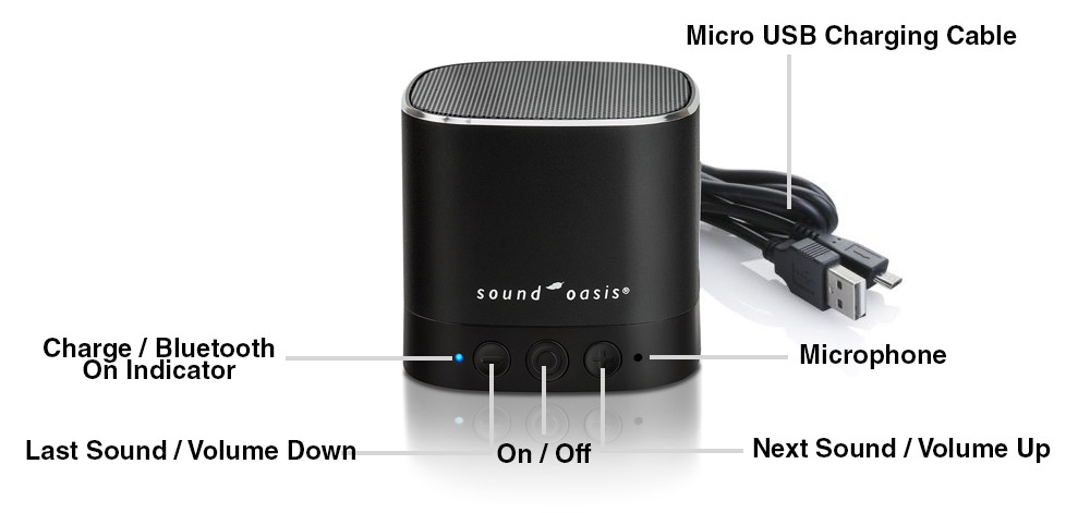 Sound Oasis BST-80-20P Bluetooth Pet Sound System