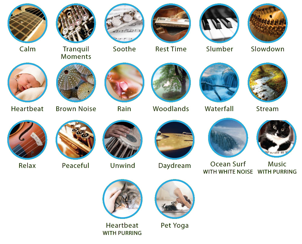 Sound Oasis BST-80-20P Bluetooth Pet Sound System