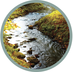 Sound Oasis Deluxe S 6000 White Noise Sound Machine