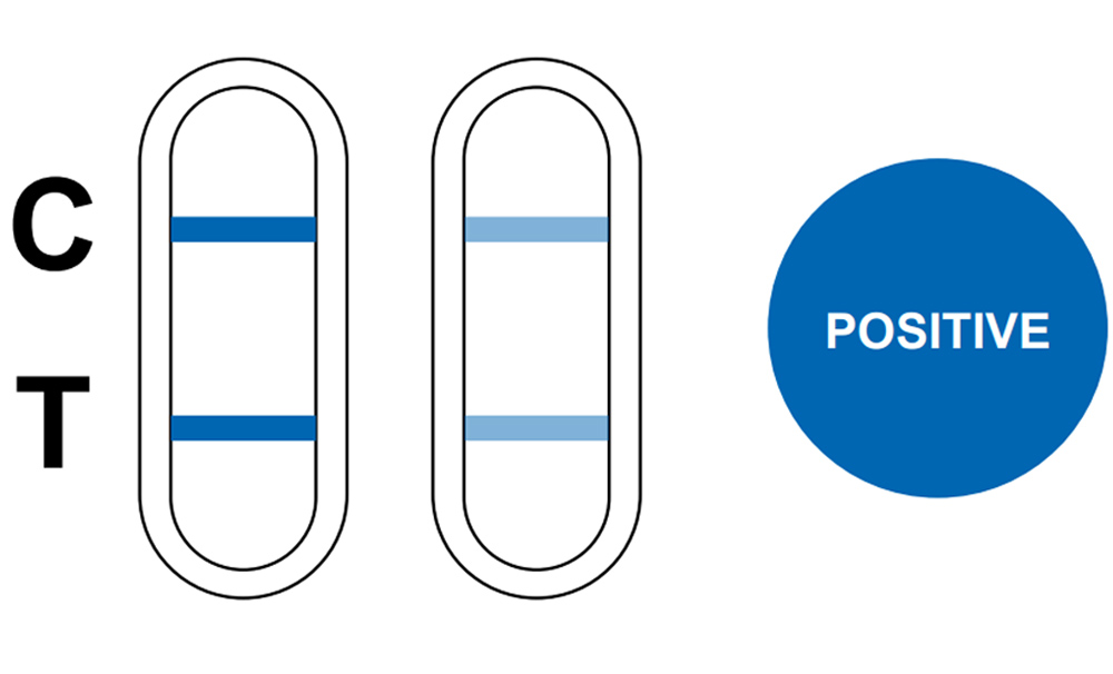 Orawell Saliva Covid-19 Rapid Antigen Test Kit