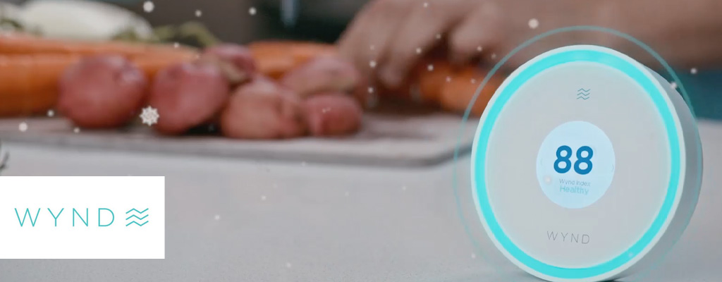 Wynd Halo Smart Air Quality Monitor